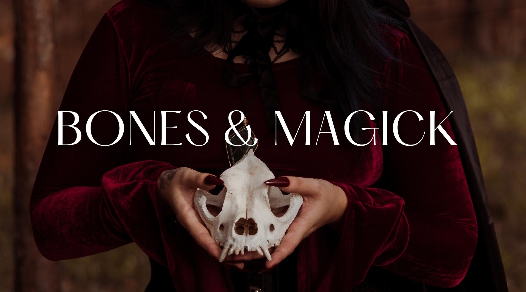 Exploring the Use of Bones in Witchcraft & Magick – witchcraftspellsmagick