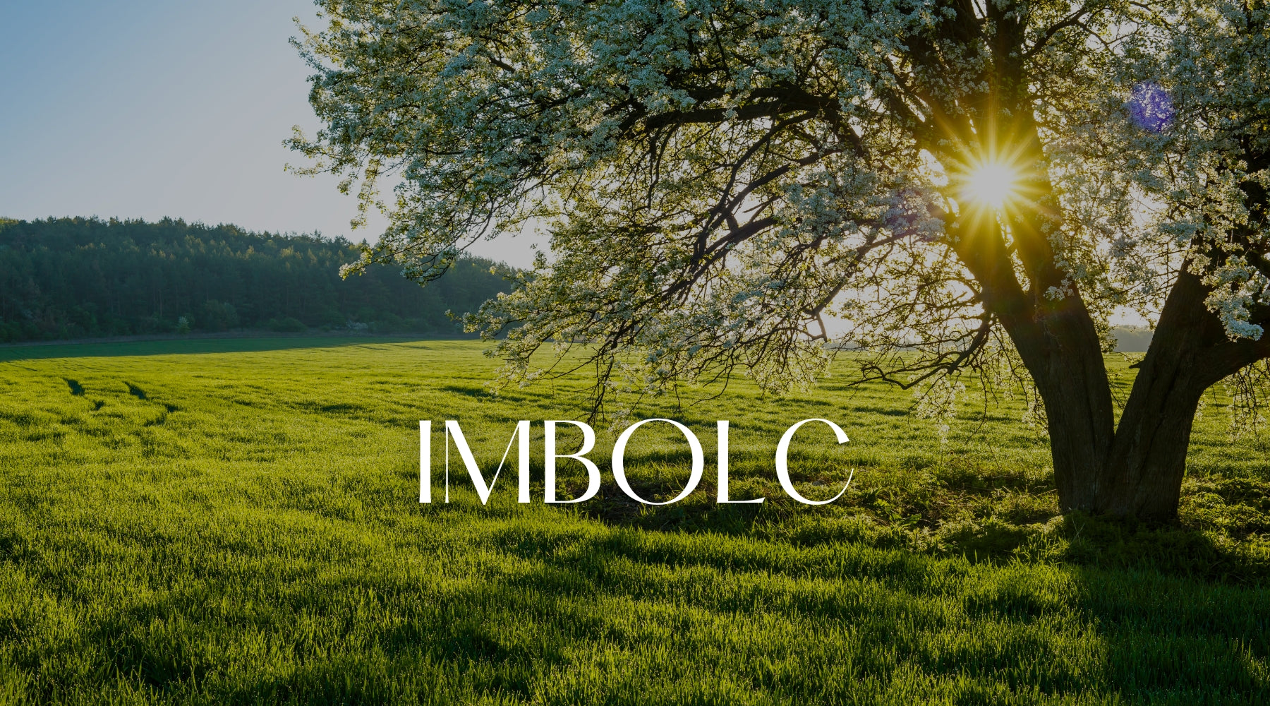 Imbolc (Oimelc) Witches' Sabbat: Celebrating the Awakening of Spring ...